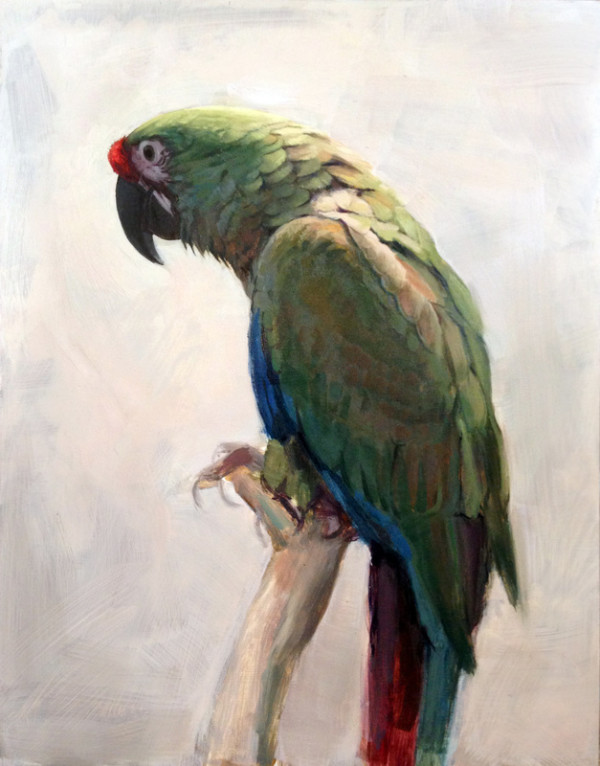 Alex Warnick: Crested, Spotted, and Gilded | The Krakens: A Digital ...